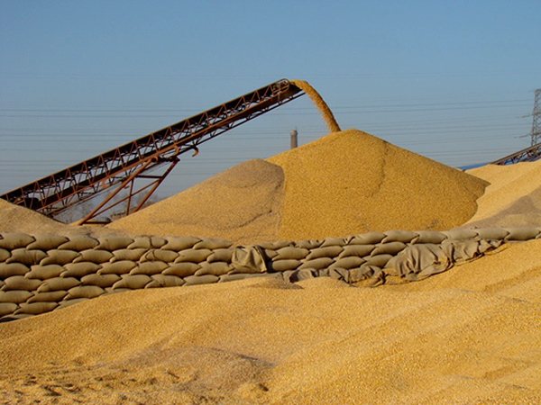 Grain Auger Conveyor - Dahan Conveyor Manufacturer