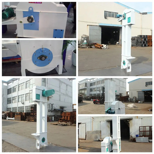 Fertilizer granule bucket elevator - Dahan Conveyor Manufacturer